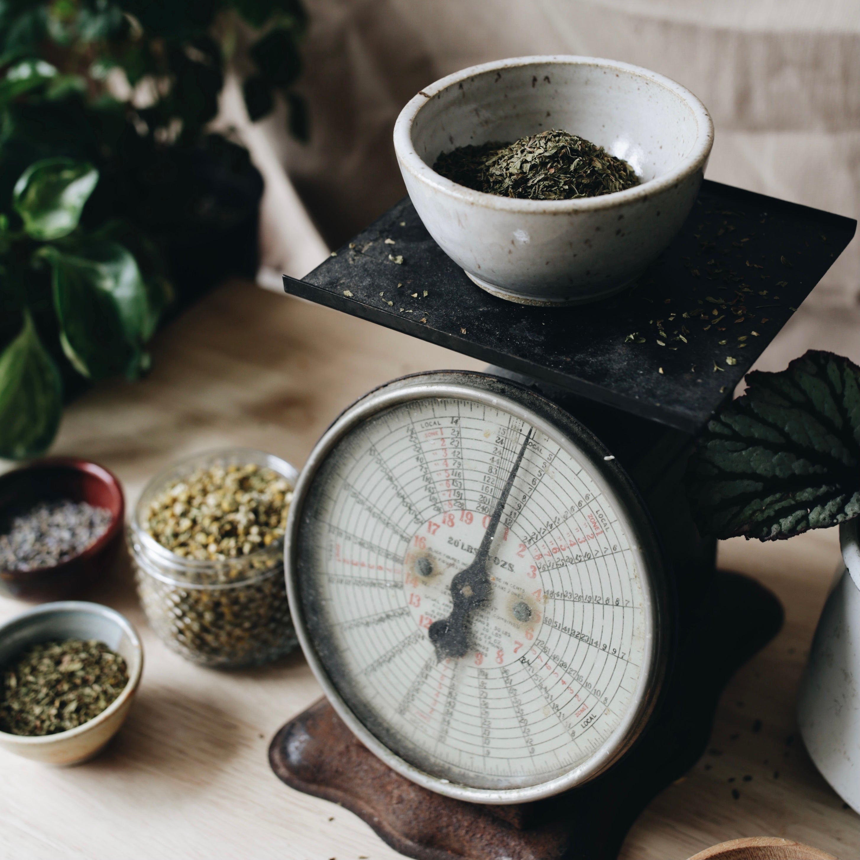 Shop Bulk Refills at Kindred Vancouver Refill Store