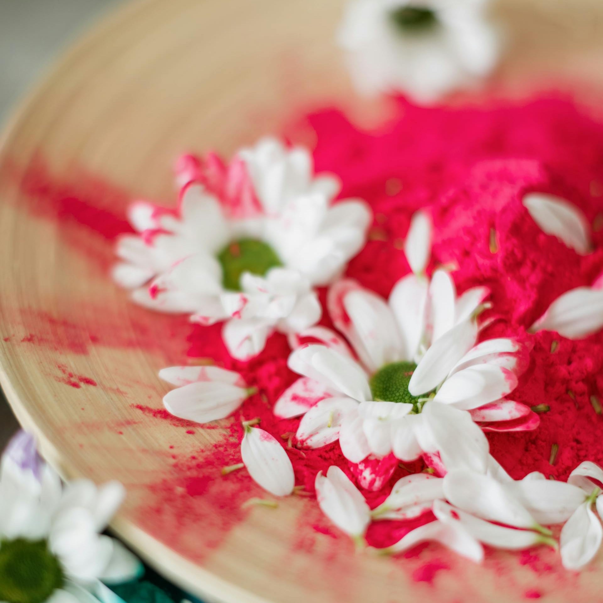Organic Bulk Colorants │ Kindred Vancouver, WA 98660